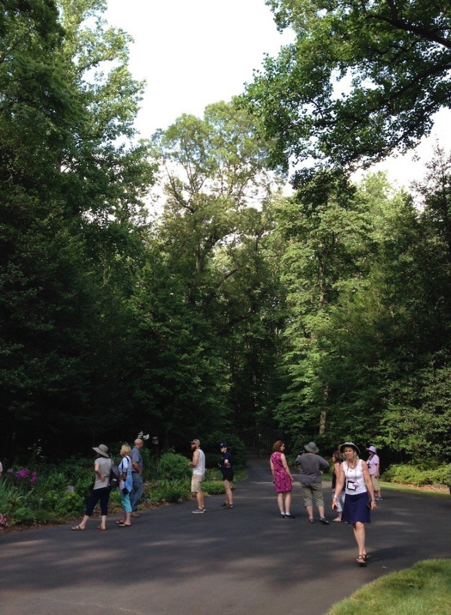 Over the river and through the woods… | Queen of the Dirt