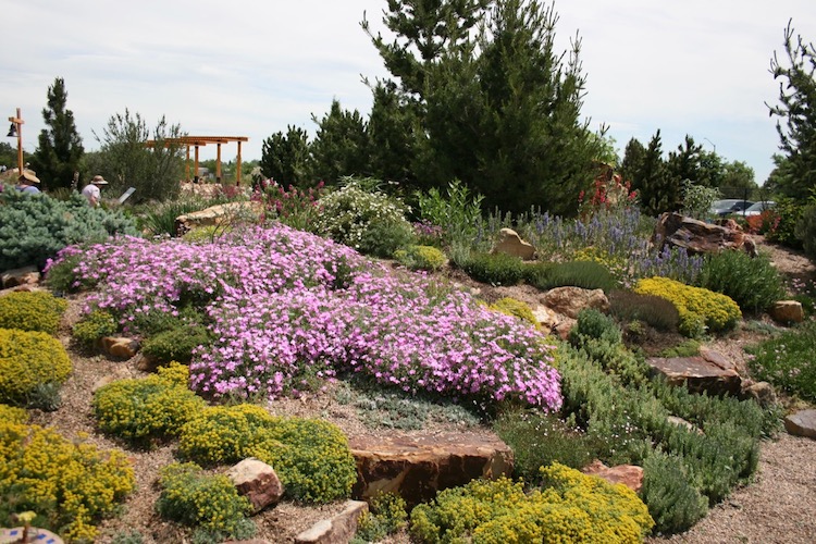 Postcards from Denver… | Queen of the Dirt